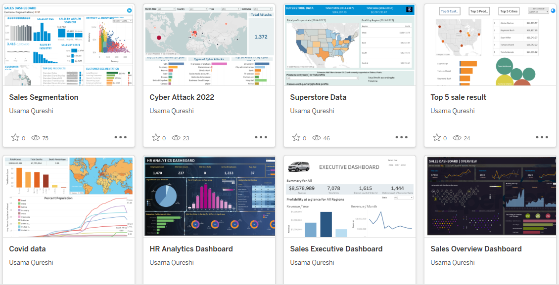 Data Analyst Portfolio